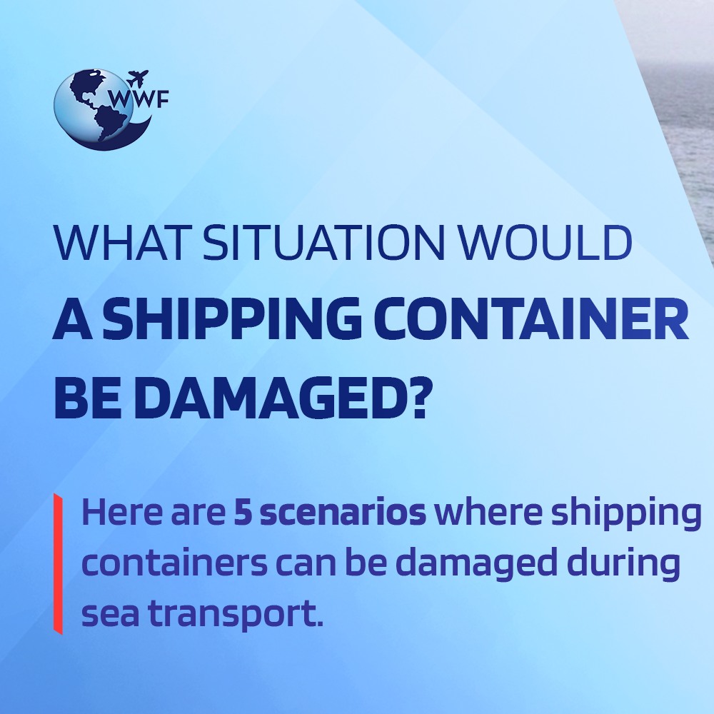 What situation would a Shipping Container be damaged? - WorldWise Freight